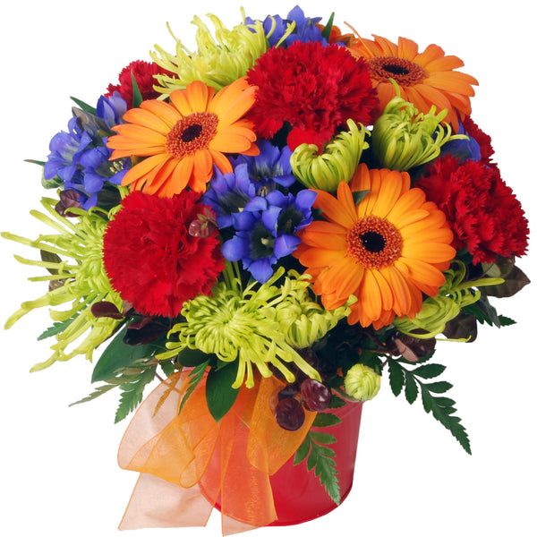 Arrangements – Morrisons Florist - Auckland Fresh Flower Delivery